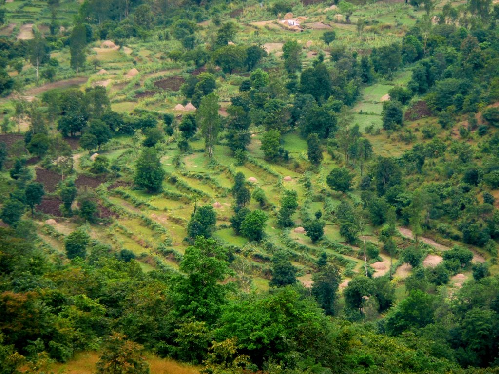 Simply Siddhartha: The Bhudargad Fort