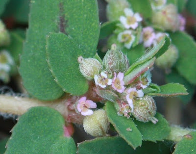 Franklin Matters: August 2010