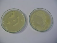 quiminet145: SIEMBRA DE MICROORGANISMOS MESOFILOS AEROBIOS