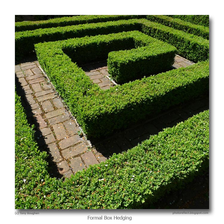 PhotoReflect: Box hedges and cottage gardens