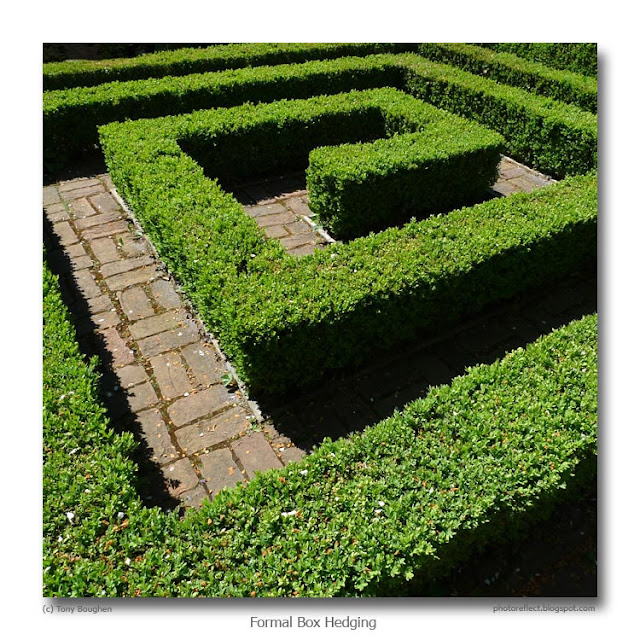 PhotoReflect: Box hedges and cottage gardens