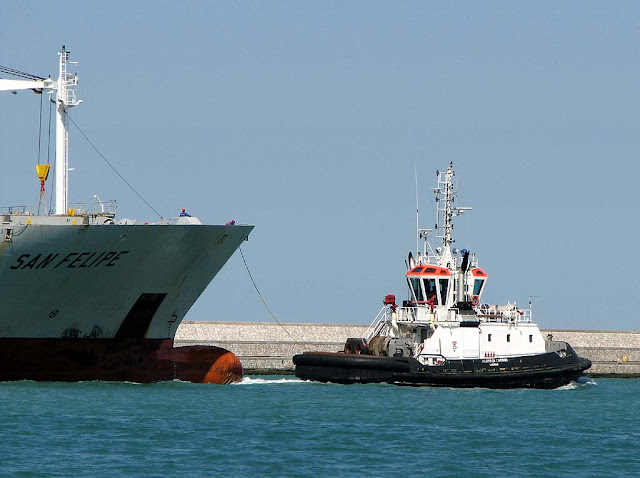 Livorno Daily Photo: Tug's Life