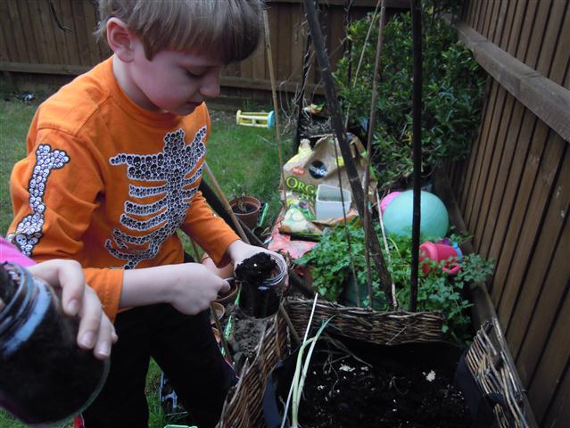 Life's Adventures: Venus Science project