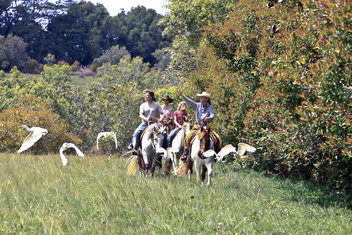 Hawaii FYI: Princeville Ranch Adventures adds new combination zipline ...