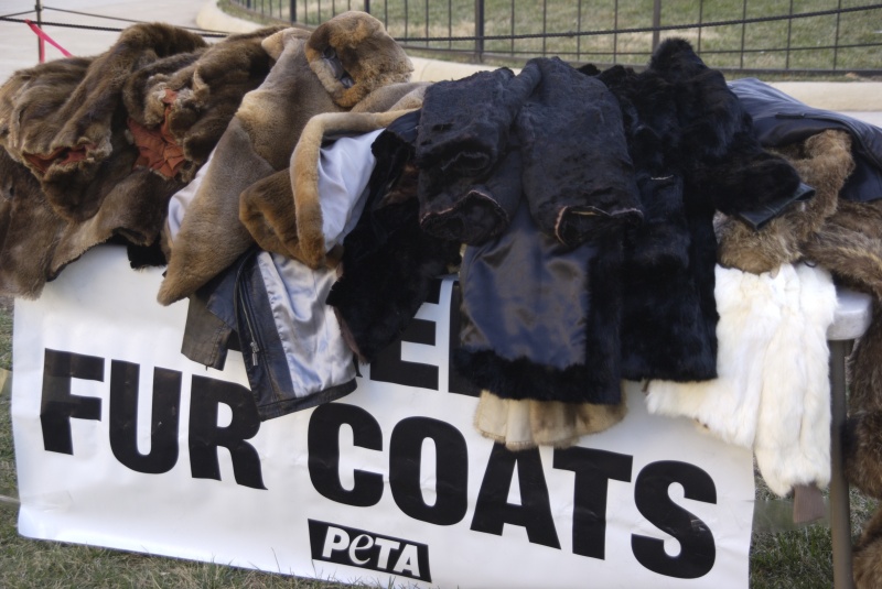 Slapstick news: PETA: Animal security and fashion