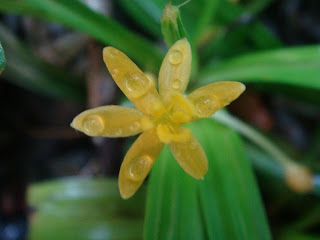 Interpretations of Inspirations