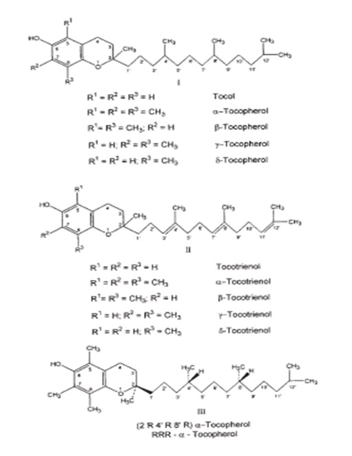 AUNG SUMBONO: KIMIA TERAPAN
