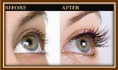 Paloosh Salon': Fly legs for lashes? I think we’ll stick to Xtreme ...