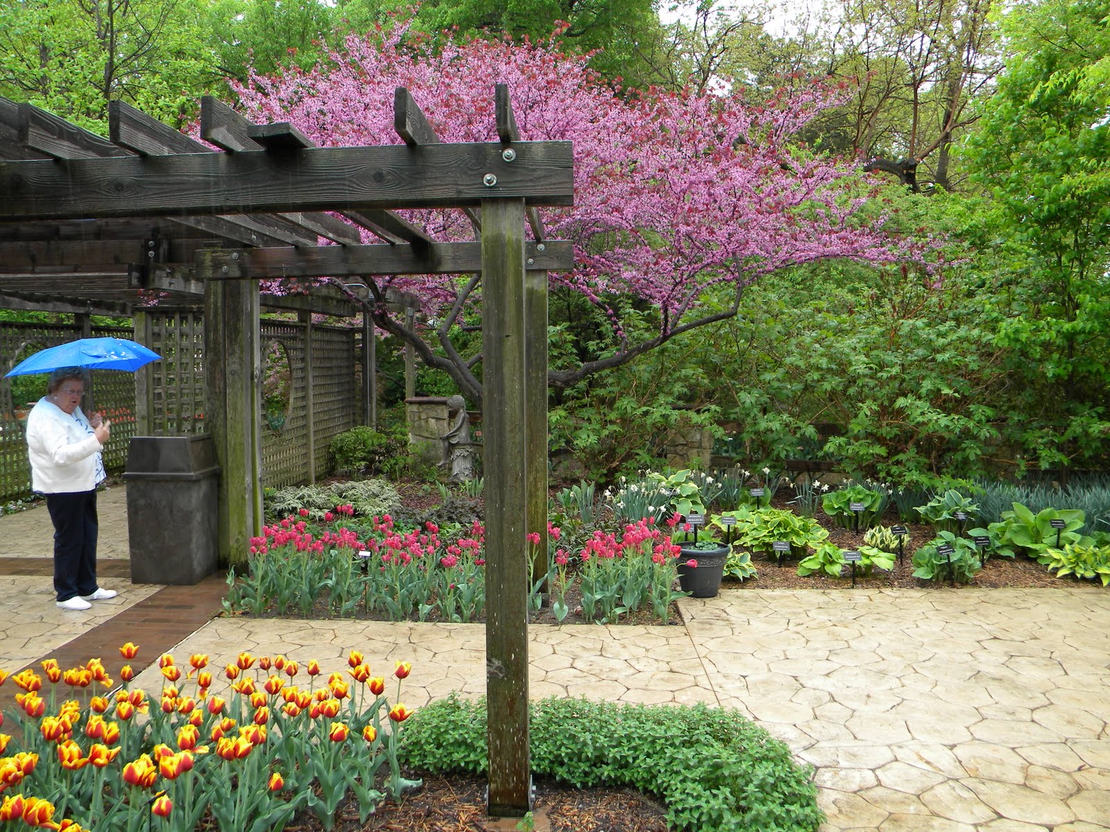 Ralston Ramblings: Botanica, The Wichita Gardens in Bloom