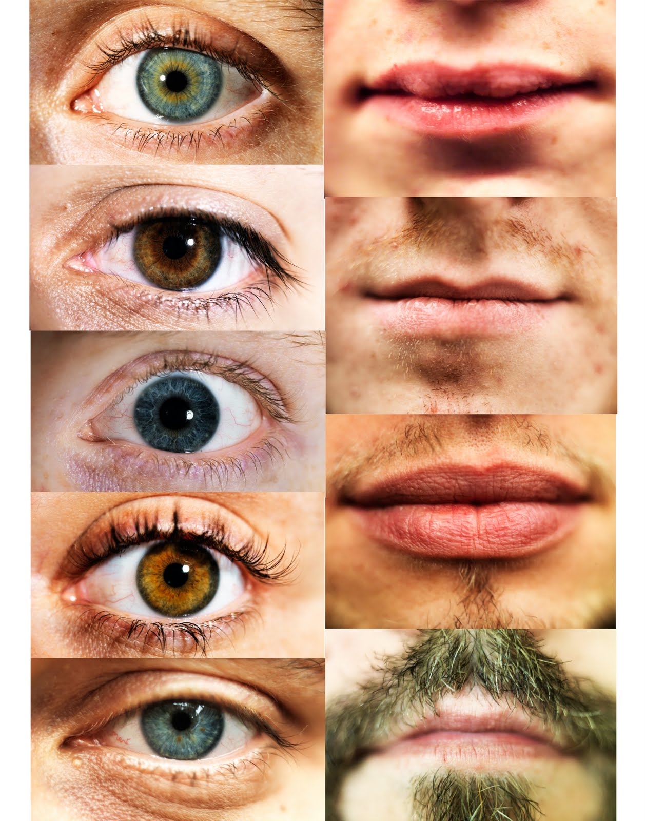 [julie metni photography]: New Project: How we remember people's faces