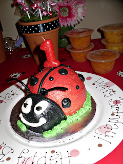 A Bugs Life: Kaylee's Lady Bug Party Decorations
