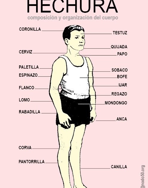 Kms x Hacer: EL CUERPO HUMANO Y SUS PARTES
