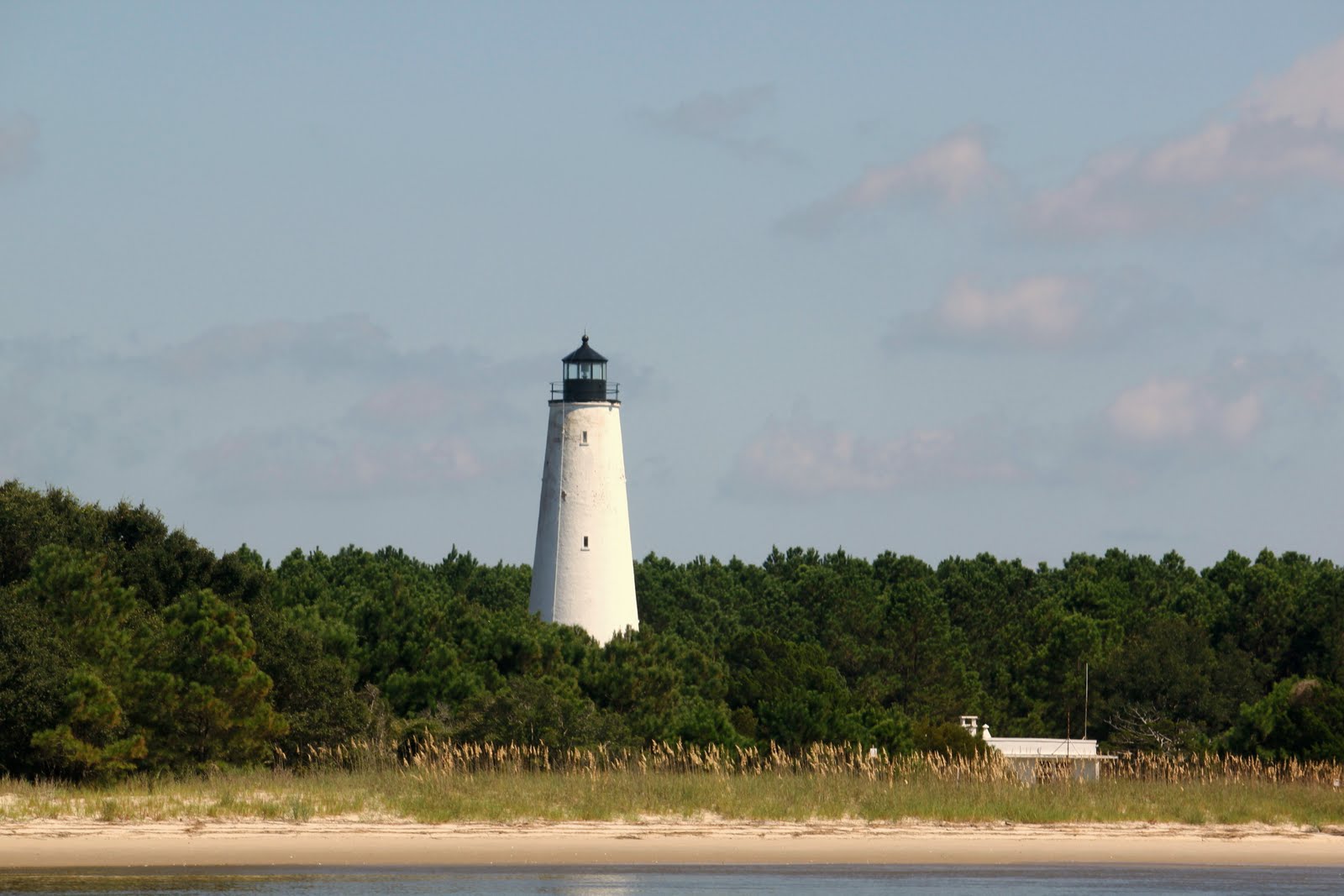 One Plant at a Time: Vacation pics. from MB and Georgetown, Shell ...