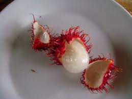 Eye on Costa Rica: “Mamon Chino” in Costa Rica. Have you tried this ...