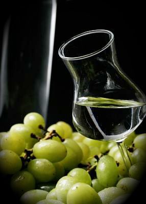 Cordillera Style: Pisco, Bebida Peruana