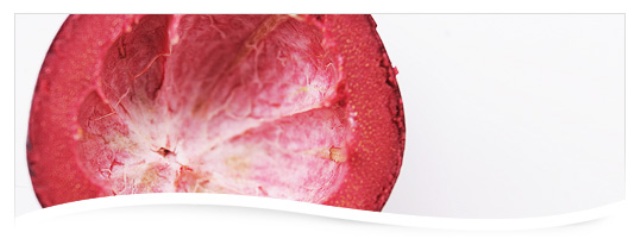 All About Mangosteen: All About Mangosteen