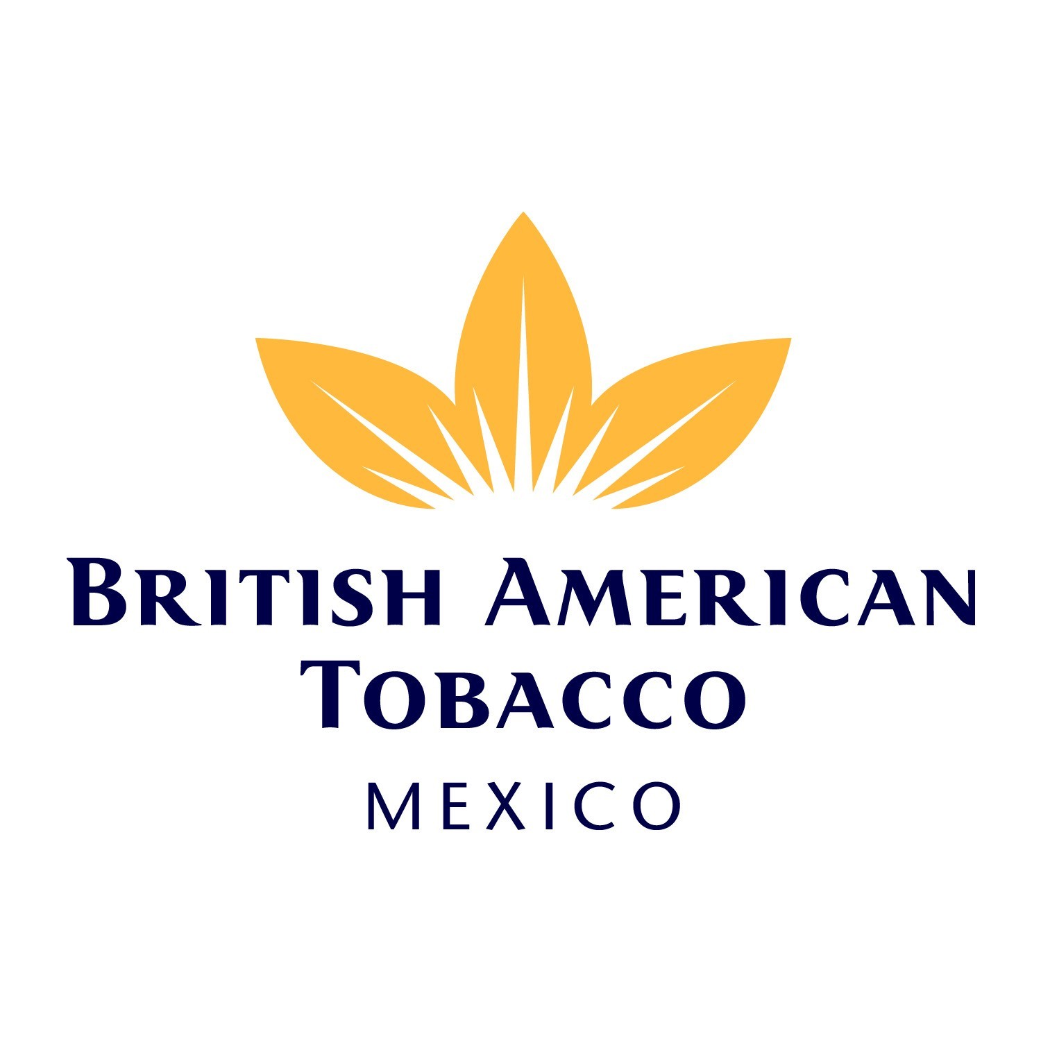 innovación_arochi09: BAT Mexico