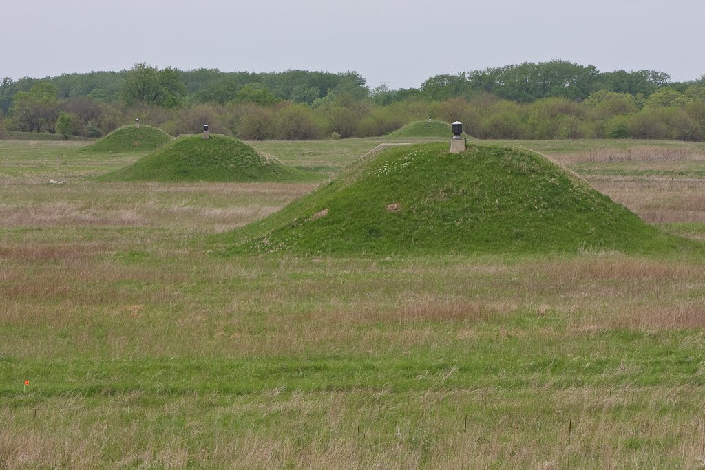 Midewin Means "Heal the Land"