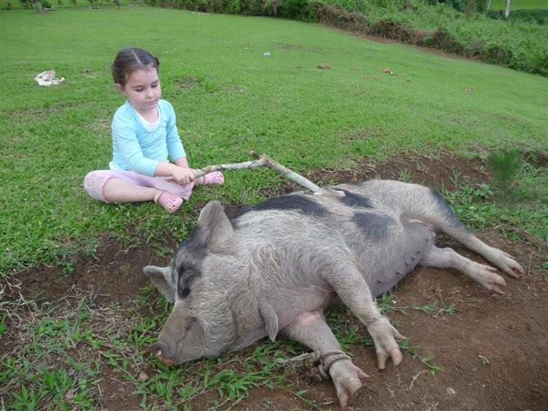 Homeschooling in Paradise: The Letter P