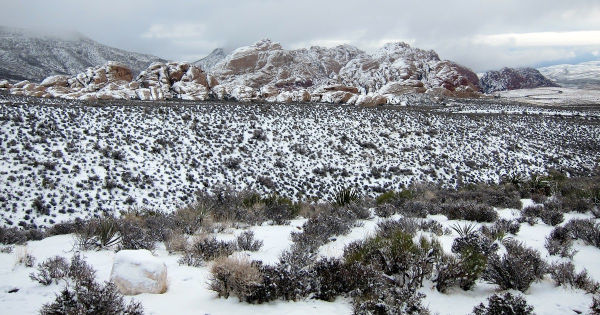 Mountain UltraLight: A Snowy Desert Scene