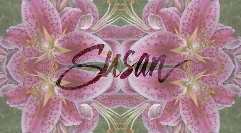 susangaylord.com: Name Day for Susan