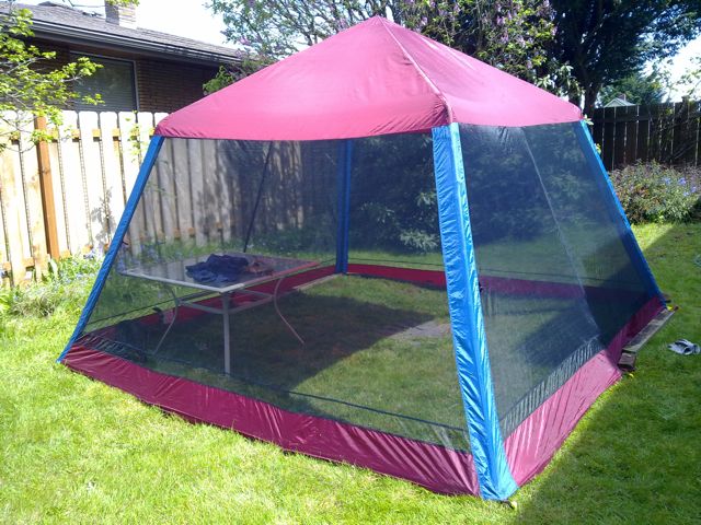 fourwhitepaws: kitty tent first run