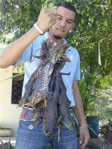 “Maco toro” para Comer | Con mi Nokia en la mano.