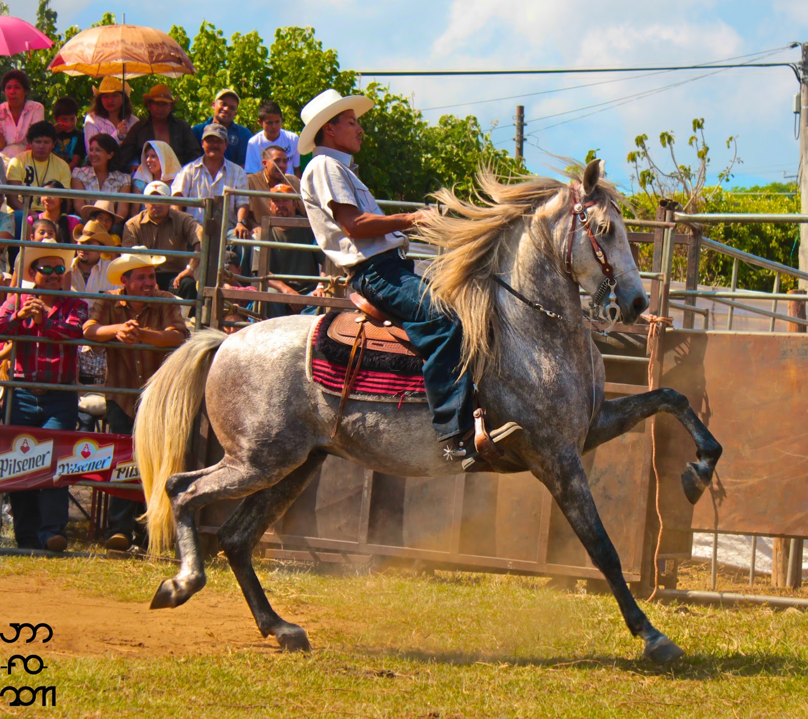 Visiones Fotográficas: Jaripeo en Juayua
