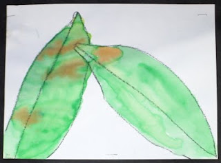 Creating Art With Kids: leaf observation drawing with watercolor