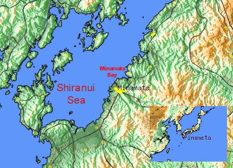 1melankolia.blogspot.com: MINAMATA DISEASE