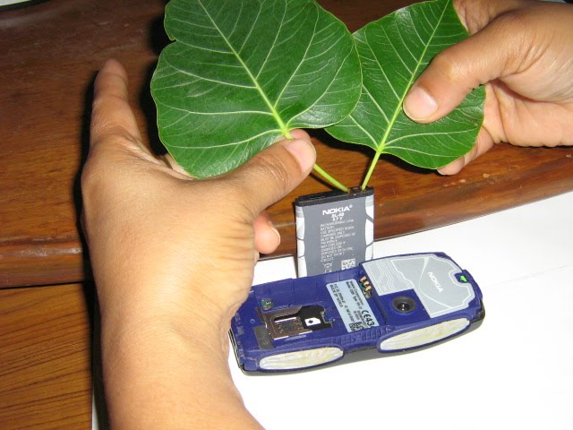nge-charge Handphone Pake daun ~ Cerita Rumput Liar