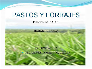 IMPLEMENTACION DE LABORES AGROPECUARIAS: PASTOS Y FORRAJES