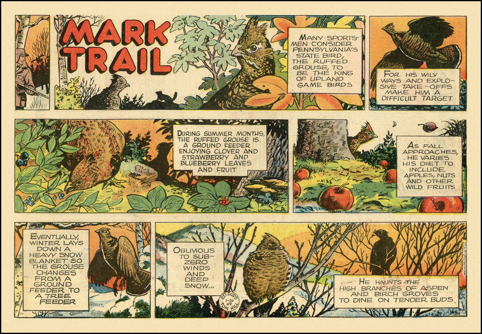 LEER EL UNIVERSO: CÓMIC. INGLÉS. RECURSOS DIDÁCTICOS. "Mark Trail", de ...