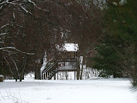 The ABCs of Our Lives: Adventures