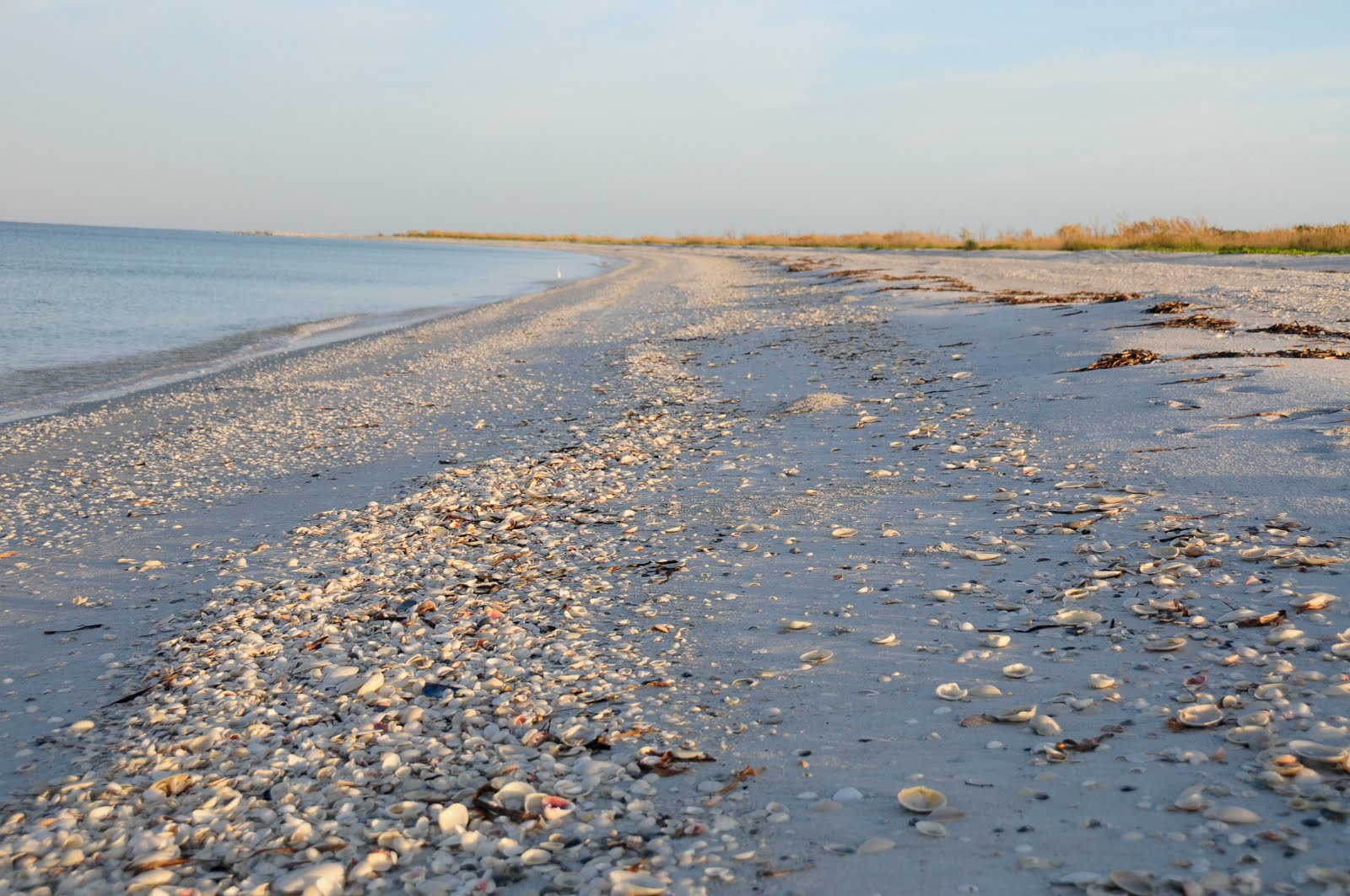 Capt. Brian's Observations On The Water: Sunrise Cayo Costa