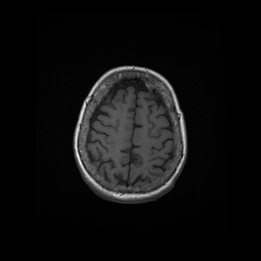 Radiology Cases: April 2010