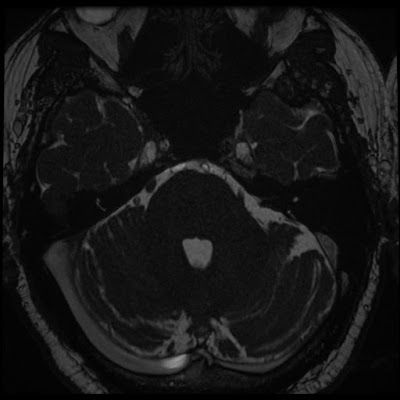 Radiology Cases: December 2008
