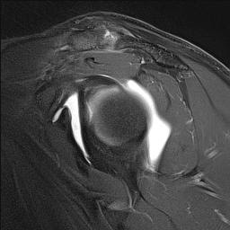 Radiology Cases: August 2009