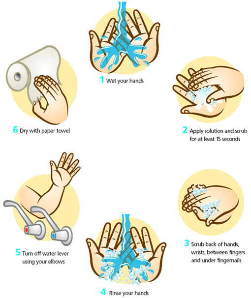 The BettusLettuce: Guide to Proper Hand Washing