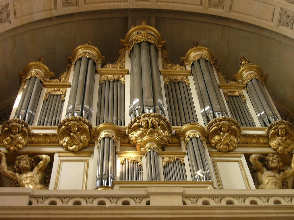 A Treia Forţă. România profundă: MISTERELE CUVINTELOR. Orga şi organul