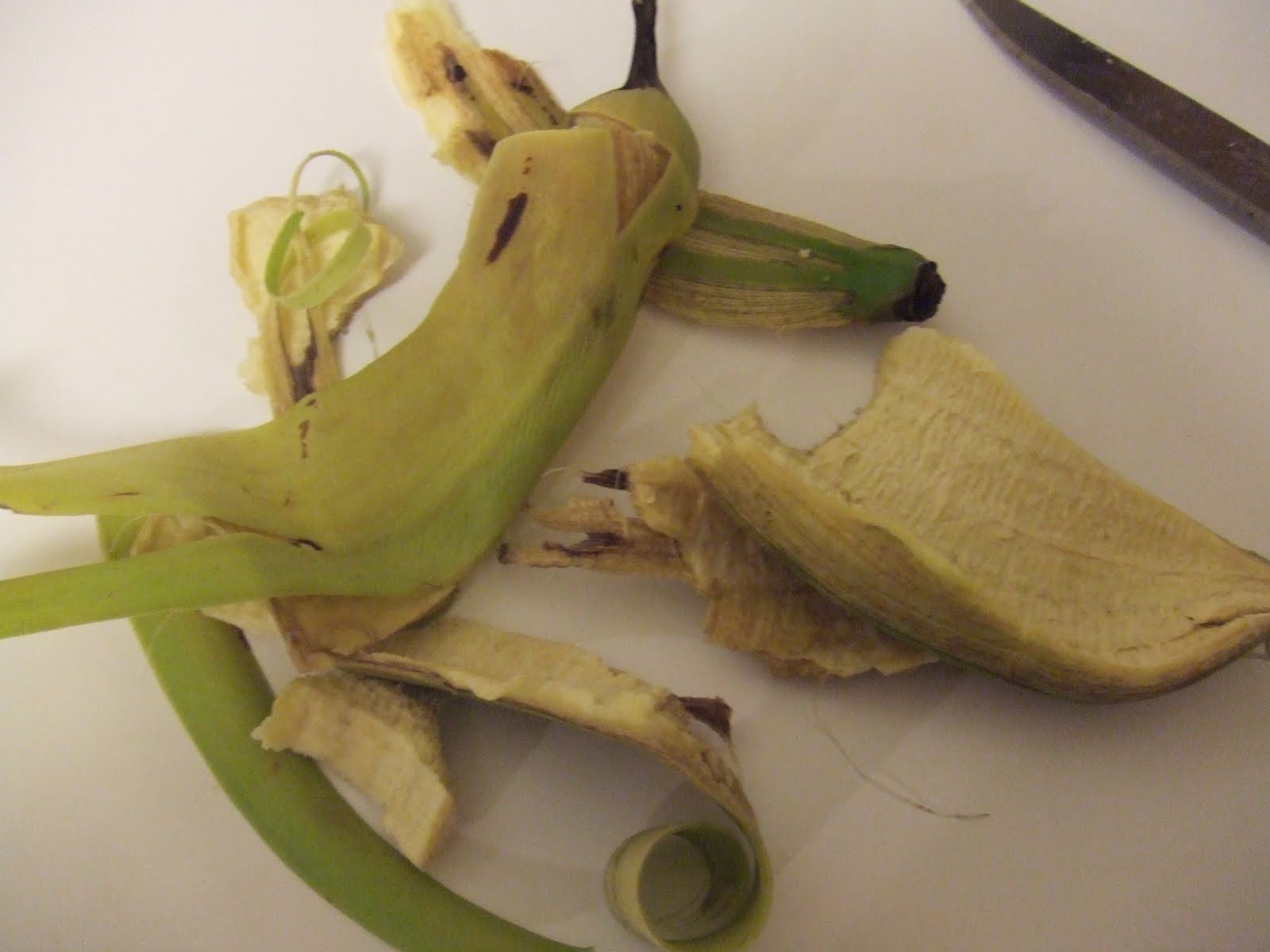 Tasty Tidbits, Creative Crafts, and Merry Makings: Plantains vs Bananas