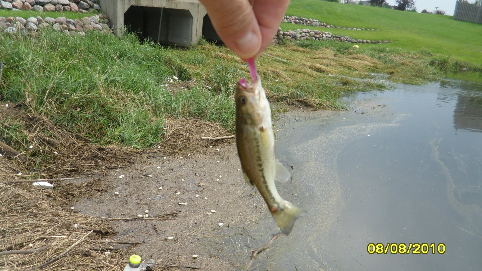 flowing waters: August 2010