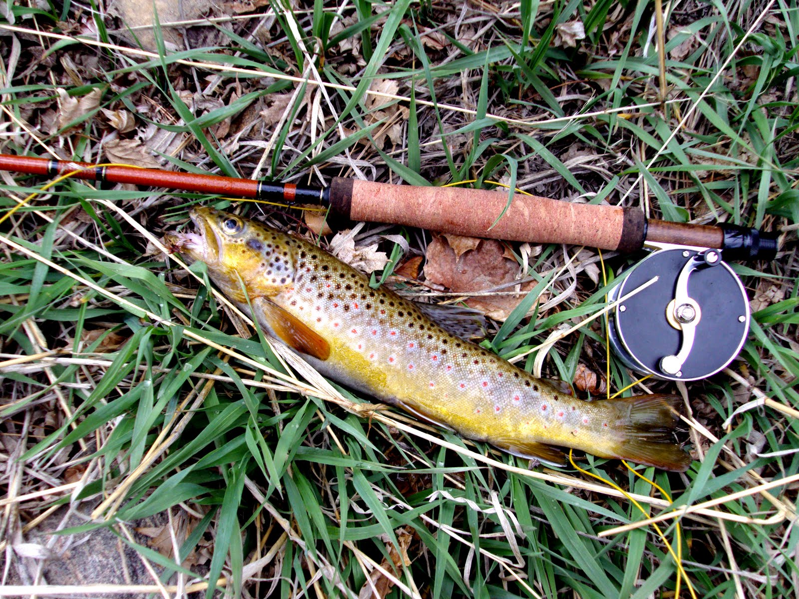 10-It’s a Five Weight « airstreamflyfish.com