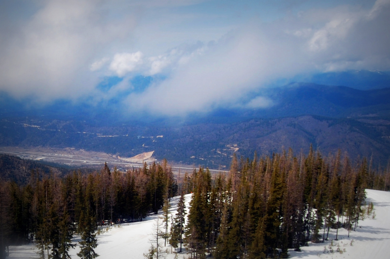 Jennifer In Oregon Photography