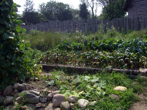 A Pilgrim's garden