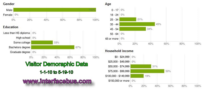interfacebus: Visitor Demographics, Web Site