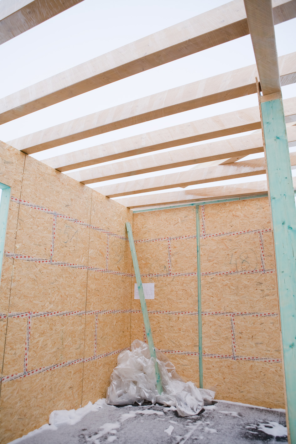 STAVÍME DŘEVOSTAVBU...: Trámy