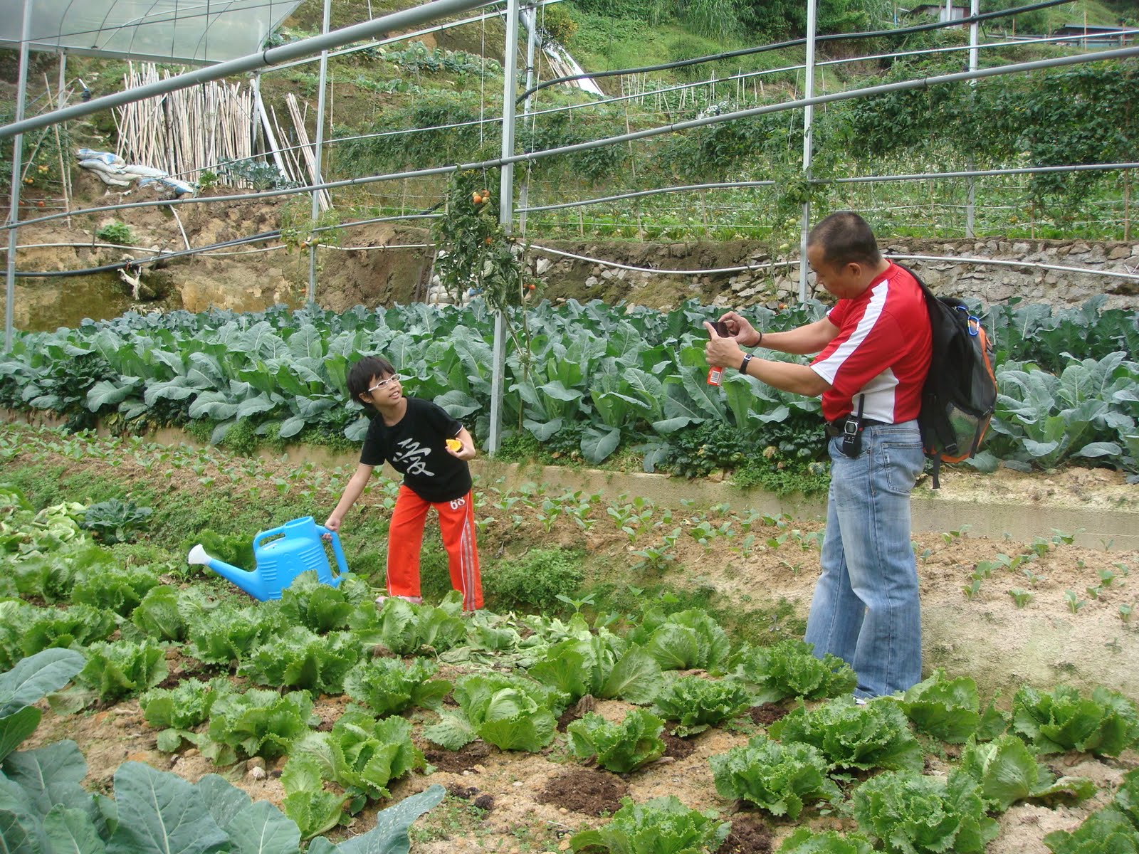 Gardening Dream Inspire: A Vegetable Farm in CH