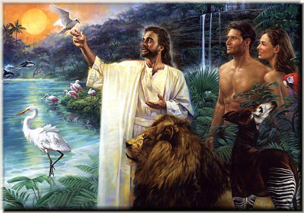 aam: REFLEXÔES NA TERRA DE ADÃO