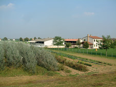 AZIENDA AGRICOLA TREVISAN